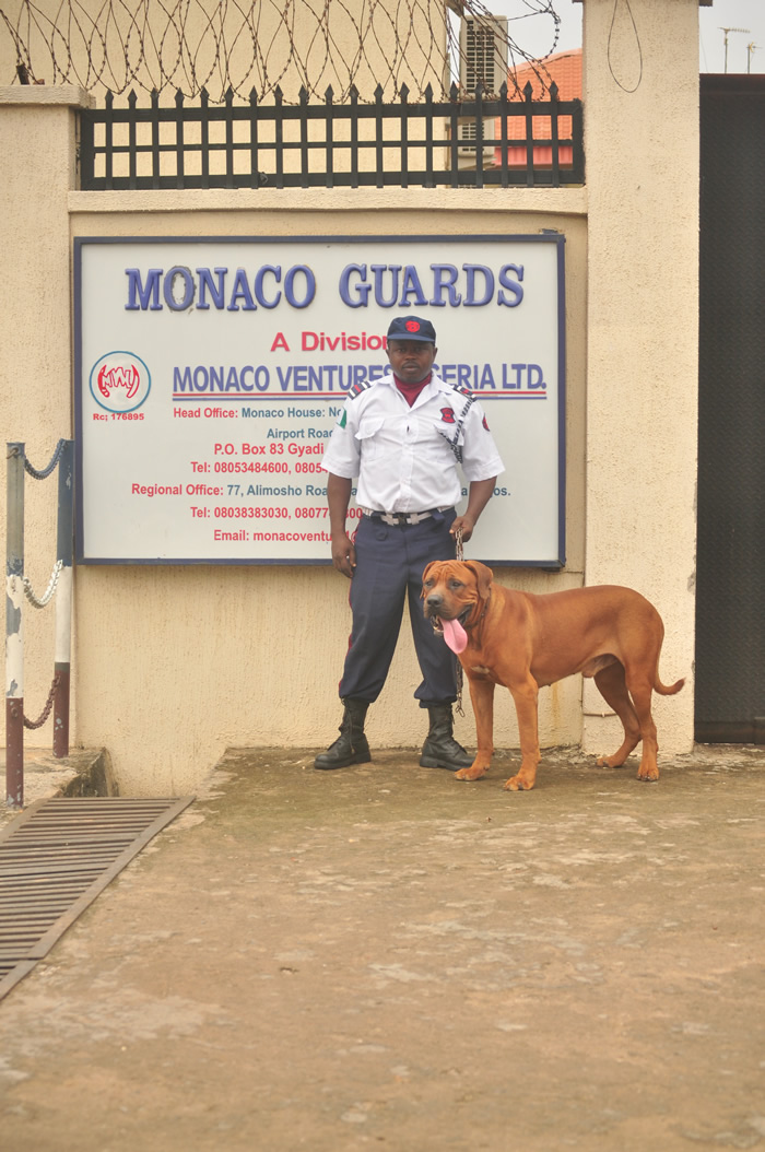 Gallery - Monaco Guards